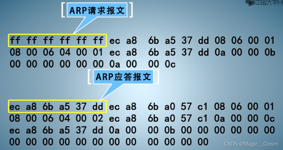 网络层（ip数据报格式、arp协议）arp 数据包还是 Ip 数据包 Csdn博客 