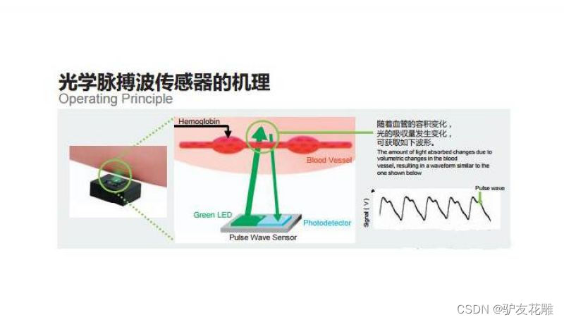 【雕爷学编程】arduino动手做（91） Pulsesensor脉搏传感器模块2脉搏传感器 Arduino Csdn博客