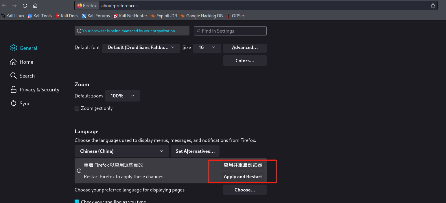 如何将Kali Linux中的Firefox浏览器语言设置为中文_kali的火狐怎么设置中文-CSDN博客