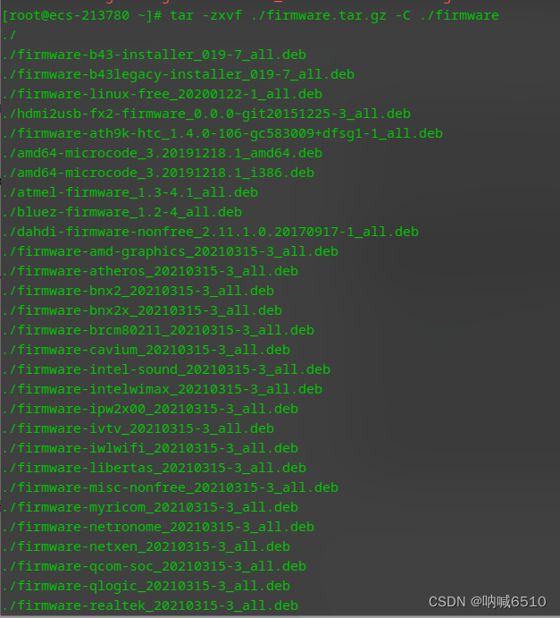 Debian 安装后固件缺失的解决办法_raspi-firmware-CSDN博客