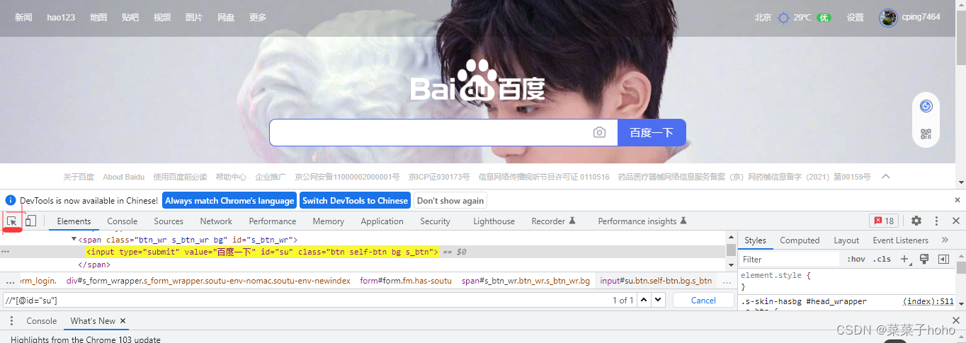 测试学习-如何使用开发者工具(F12) 快速调试xpath代码_开发者模式 复制xpath-CSDN博客
