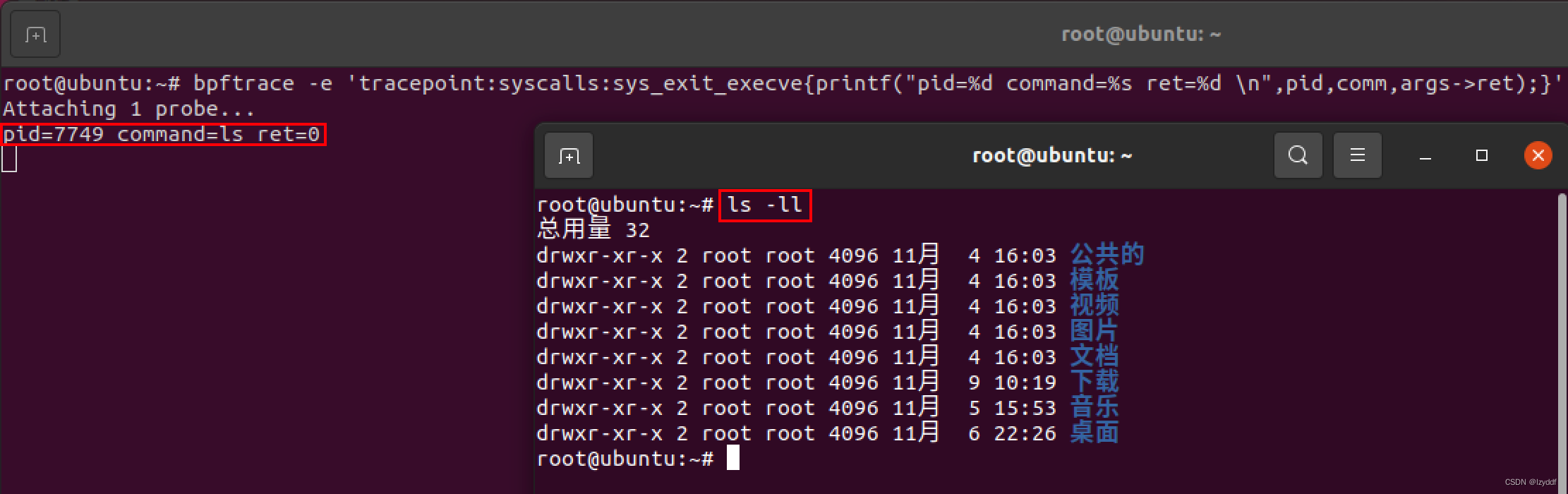 eBPF学习笔记（二）—— eBPF开发工具_python ebpf-CSDN博客