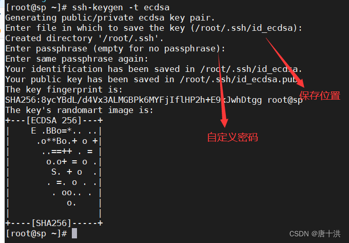 SSH（带实验）+DNS（带实验）_ssh dns-CSDN博客