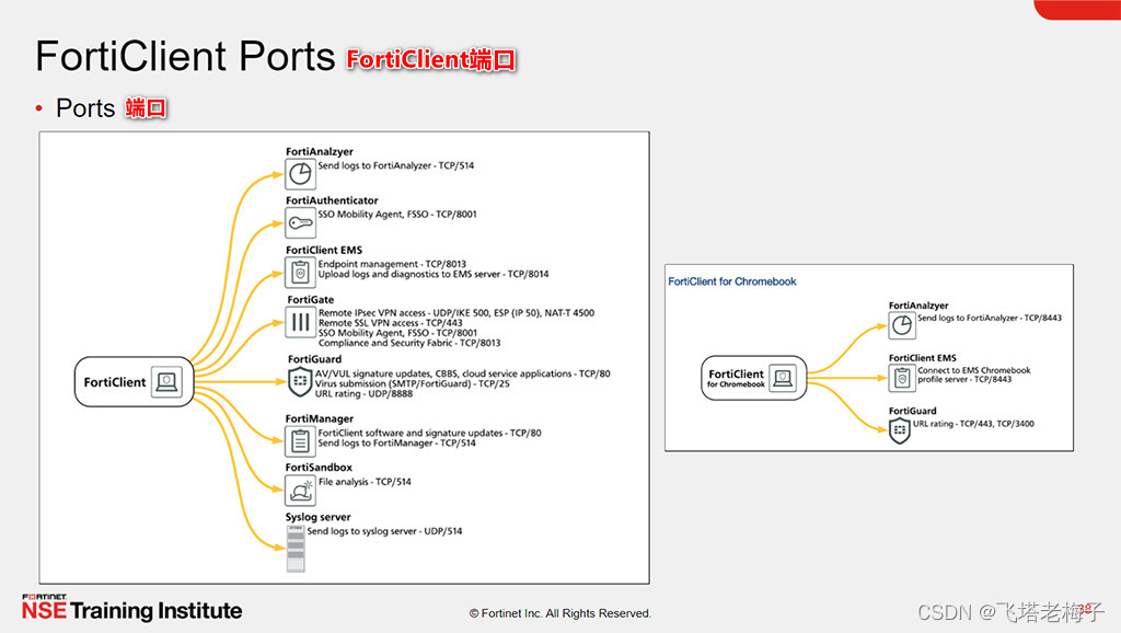 教程篇(7.0) 01. 介绍FortiClient和FortiClient EMS FortiClient EMS Fortinet 网络 ...