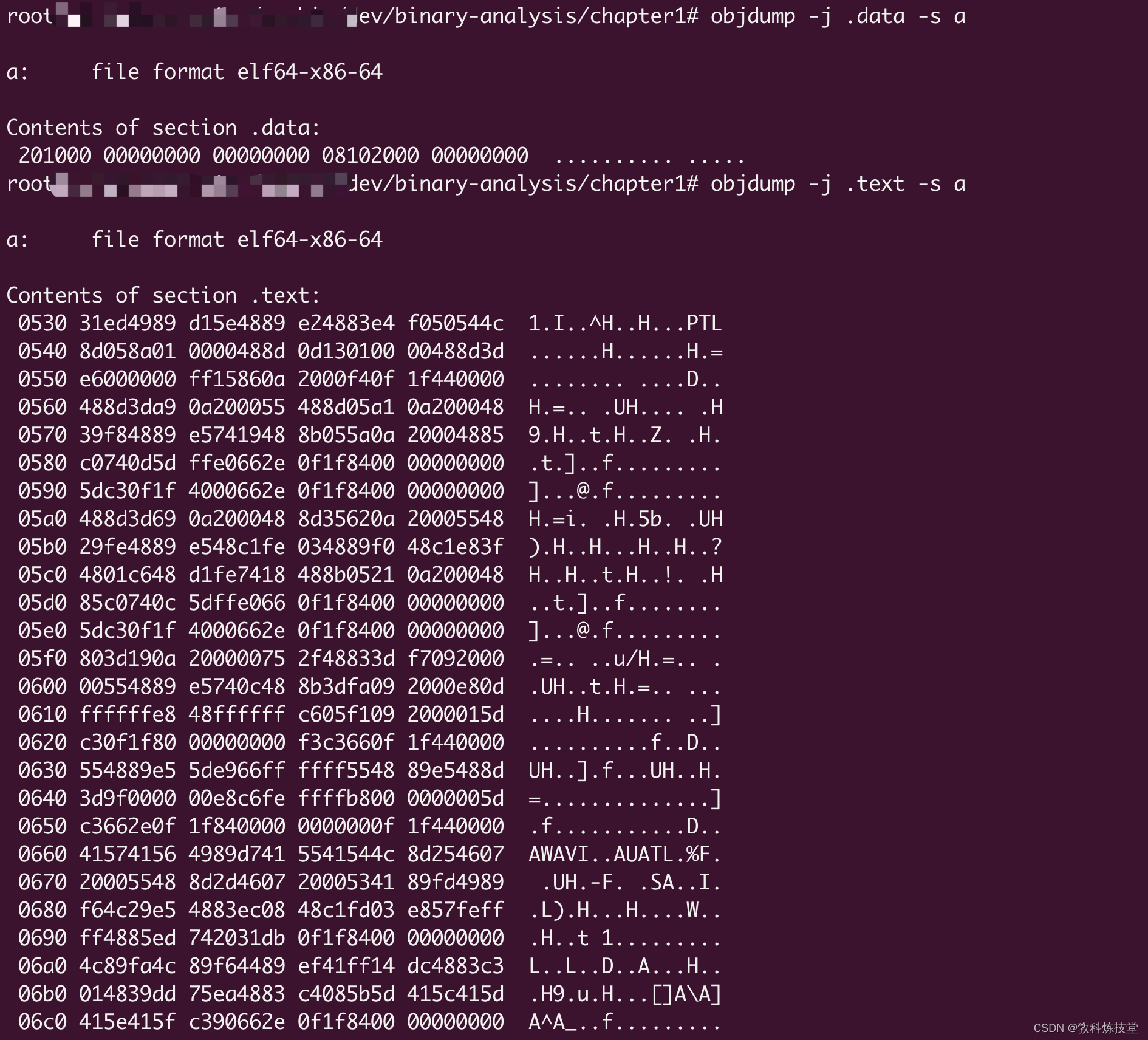 Linux 二进制分析-Linux环境和工具（chapter 1)_file format elf64-little-CSDN博客