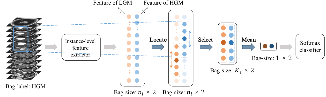 论文阅读 (82)：Multi-instance Learning based on Spatial Continuous Category Representation (医学图像)_hd ...