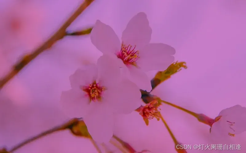 TypeError: Cannot handle this data type: (1, 1, 3), ＜f8-CSDN博客