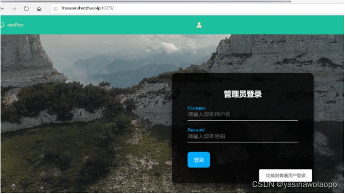 花生壳内网穿透vue项目,注意项 Csdn博客