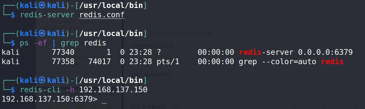linux(kali)安装了redis，却无法启动redis-server的解决办法_linux重启后redis无法启动了-CSDN博客