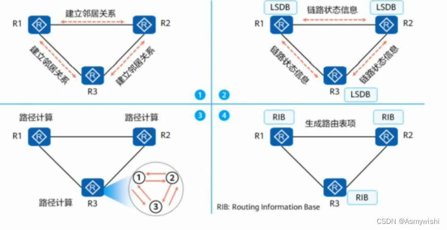 RIP，OSPF介绍_rip邻居-CSDN博客
