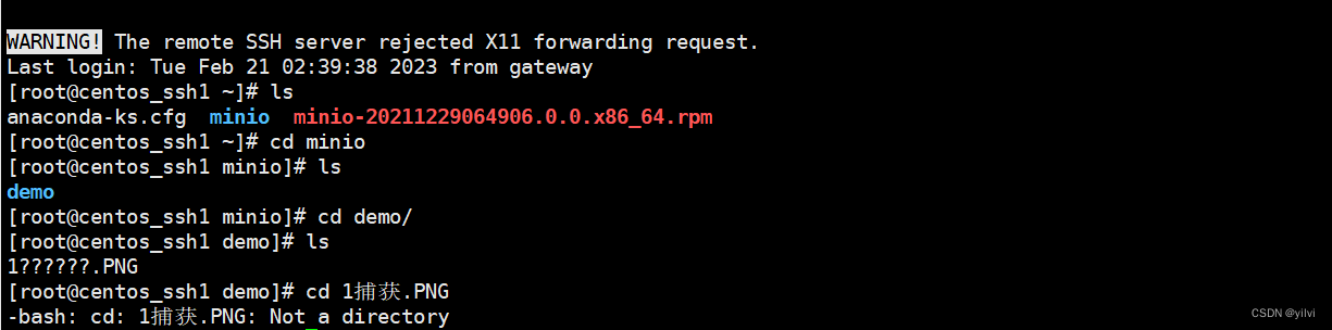 Linux minio 单机部署，取消加密（Segmentation fault问题）_minio无法启用加密-CSDN博客