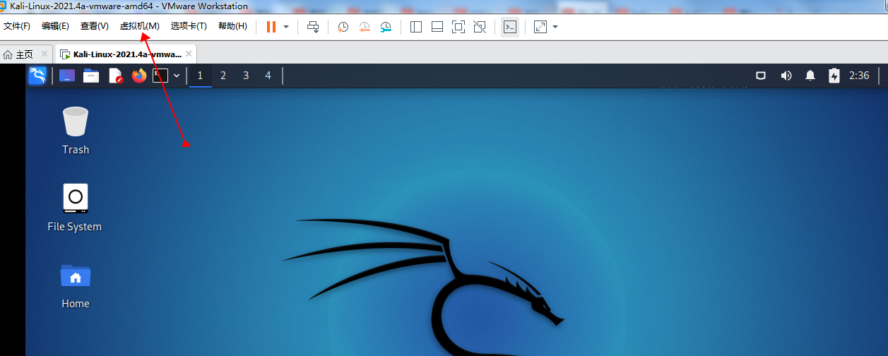 kali工具fping的简单使用之扫描IP_kali扫描局域网内设备的ip-CSDN博客