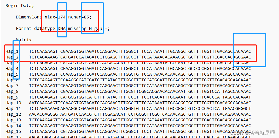 单倍型分析过程，旧+新，2.0版本（上）_popart单倍型网络图构建-CSDN博客