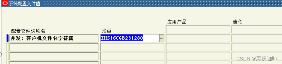 Oracle EBS R12 应付模块设置中问题_oracle 应付模块-CSDN博客