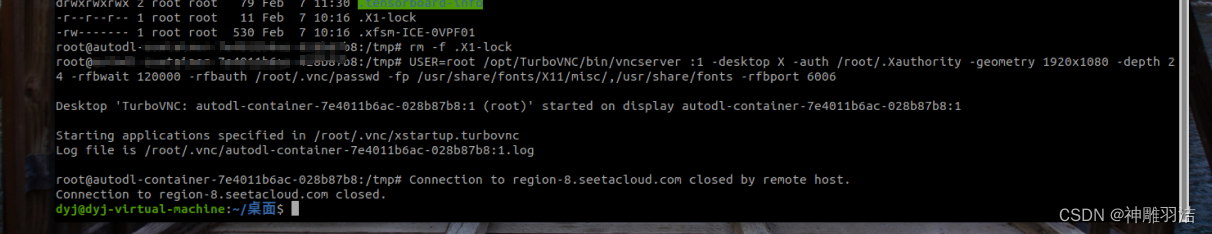 AutoDL远程桌面改进（显示桌面环境）_autodl算力云可视化界面-CSDN博客