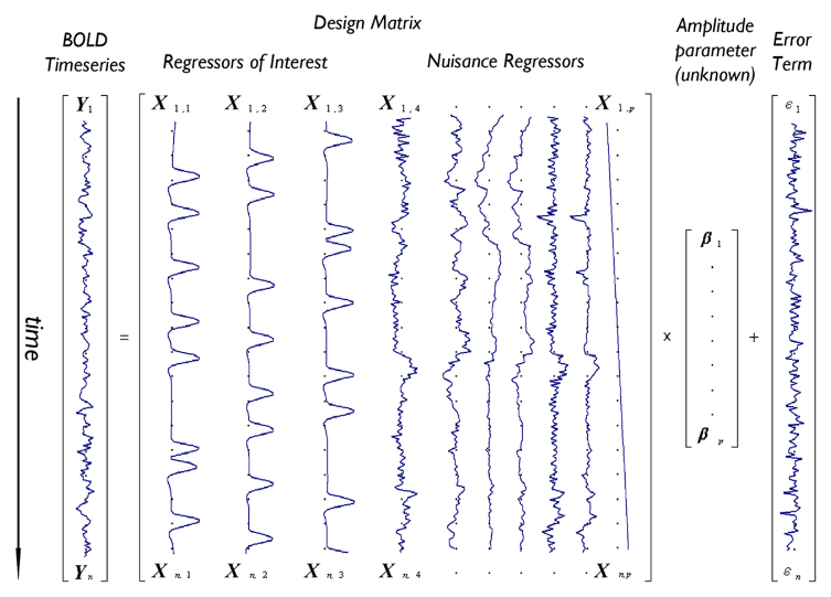 关于fmri里的建模，GLM的first level analysis 和second level analysis_group glm ...