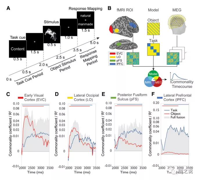 EEG/MEG-fMRI融合初识:在空间和时间上解析人脑反应-CSDN博客