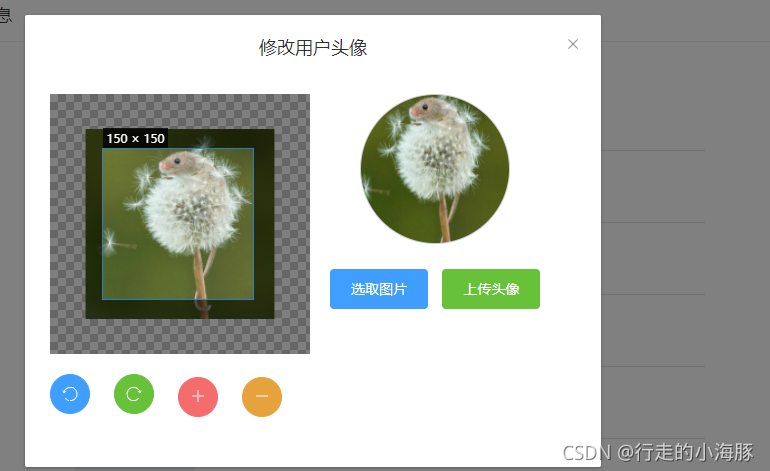 结合vue Cropperelement Ui中的<el Upload>实现头像图片剪切上传elementui Vue 上传头像 Csdn博客 3775