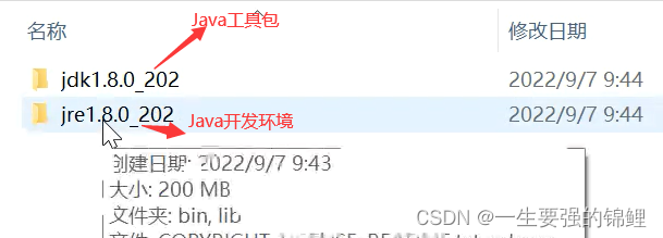 Java环境的安装_jdk-8u202-windows-x64.exe-CSDN博客