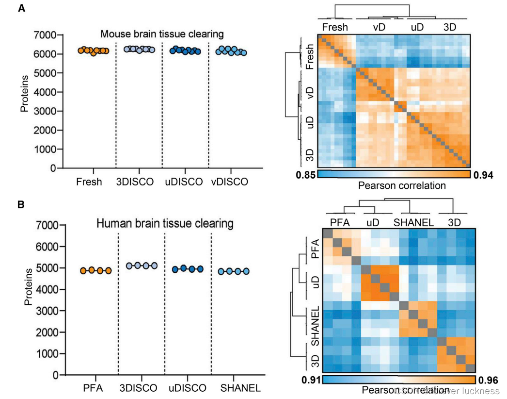 3D完整空间蛋白组学_空间蛋白显示的是二维还是三维-CSDN博客
