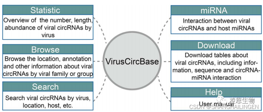数据库 | VirusCircBase：环状 RNA病毒数据库_circbase数据库-CSDN博客