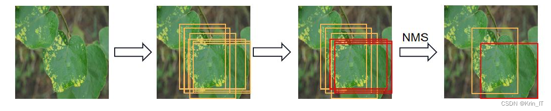 毕业设计 基于深度学习的猕猴桃叶片病虫害识别系统 Yolo Python 卷积神经网络 人工智能猕猴桃深度学习数据集 Csdn博客