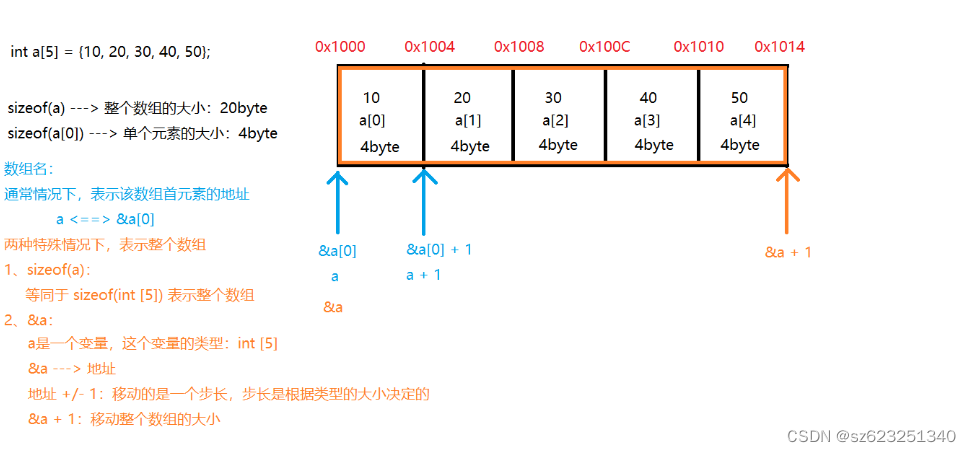 C语言数组day3 Csdn博客
