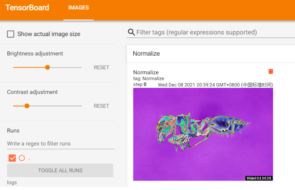 Pytorch入门笔记_writer = summarywriter('logs')-CSDN博客