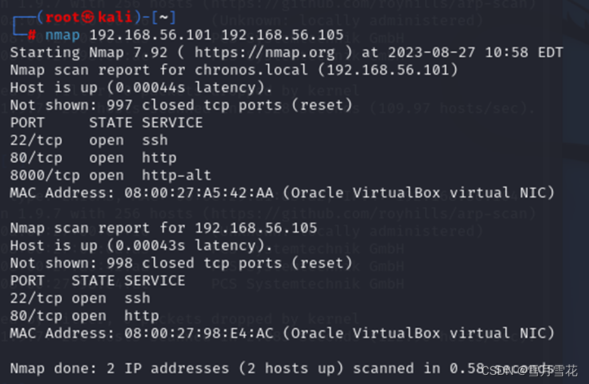 学习nmap的一些使用方法分享_nmap设置扫描速度-CSDN博客