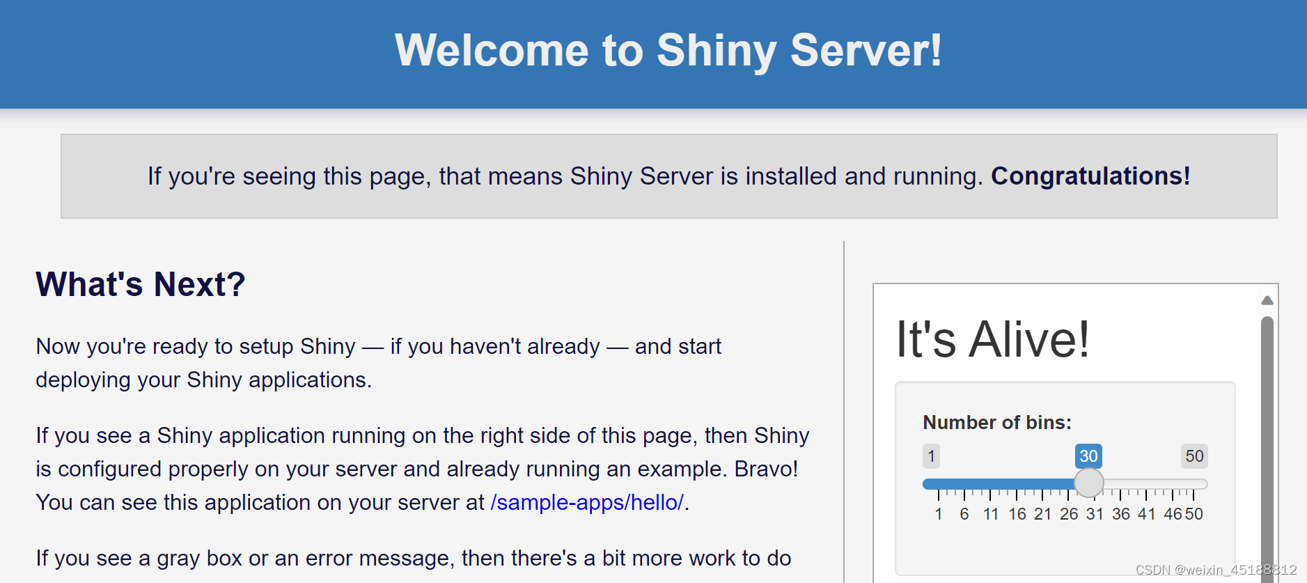 从零开始的Ubuntu 部署R shiny网页踩坑记录_在ubuntu上搭建shiny server-CSDN博客
