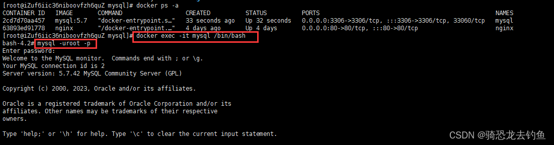 docker安装mysql5.7-CSDN博客