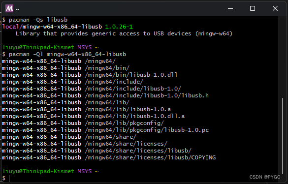 在 windows 上使用 gousb 开发 usb-CSDN博客