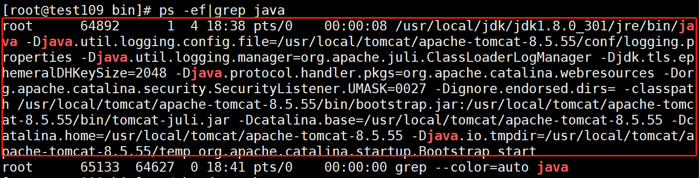 Linux安装tomcat、无法启动的解决方案_linux tomcat无法启动-CSDN博客