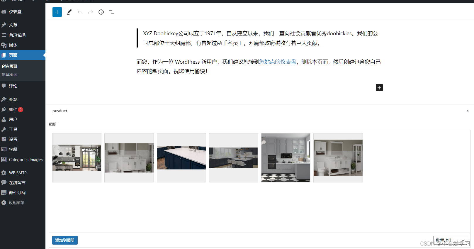 Wordpress-CSDN博客
