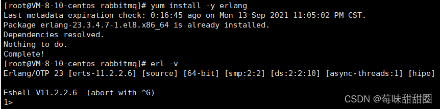 centos8.0 安装rabbitmq_centos8 安装rabbitmq 安装延迟队列-CSDN博客