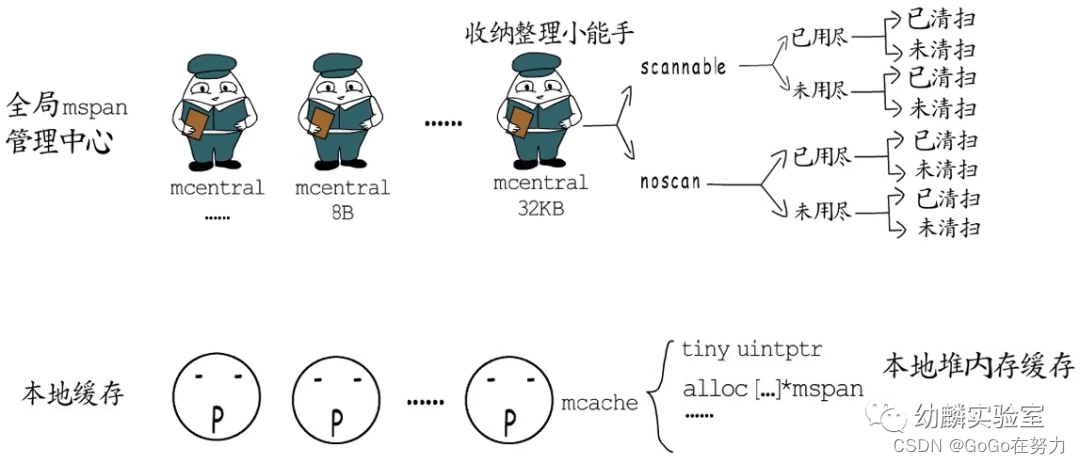 Golang之栈内存管理golang的栈大小 Csdn博客