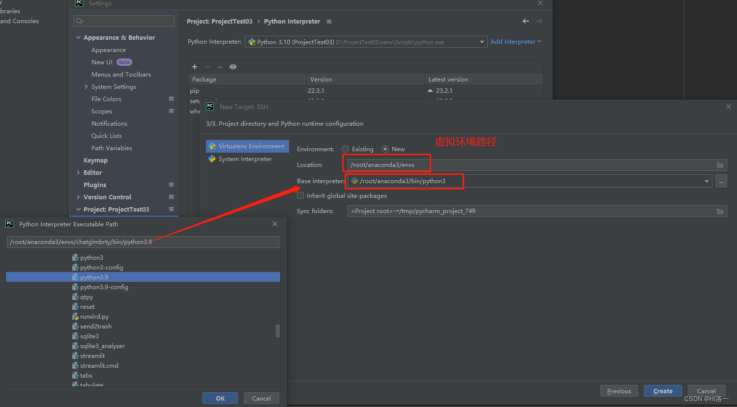 Pycharm连接服务器并Debug【踩坑版】_pycharm如何在服务器上debug shell文件-CSDN博客