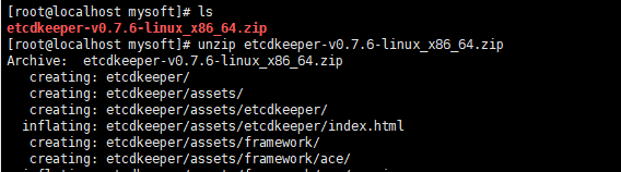 ETCD keeper安装使用教程(简洁版)_etcdkeeper安装-CSDN博客