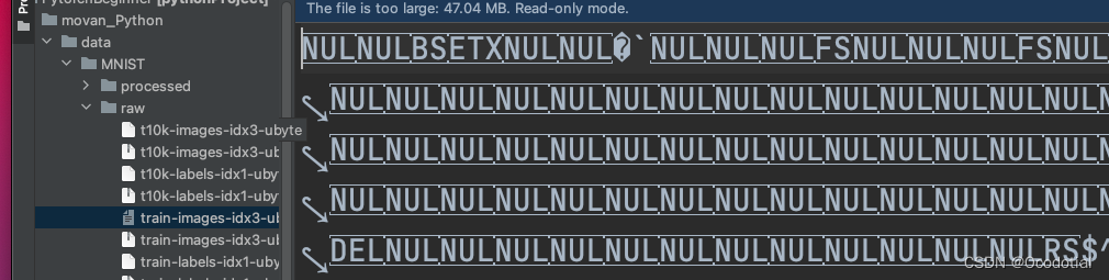 MNIST数据集在Pycharm上读取失败-pytorch入门-问题一_pycharm mnist数据集-CSDN博客