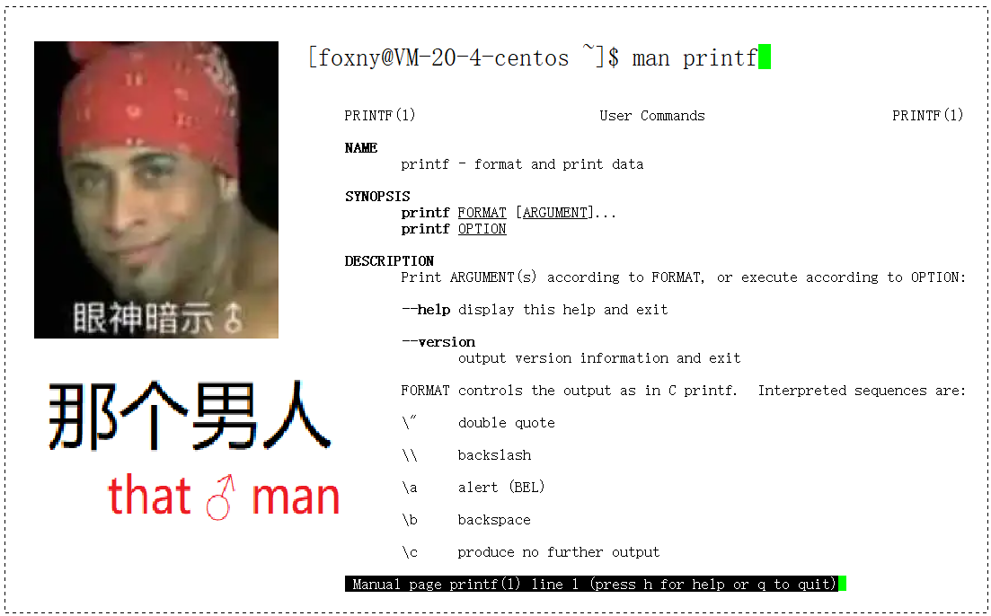 【看表情包学Linux】(3) man 手册 | 复制文件或目录 | 移动文件和重命名操作 | 查看目标文件内容_linux如何将选定man ...