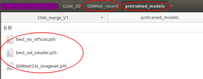 【工程测试与训练】使用 DDRNet 测试、训练cityscapes数据集、训练自己的数据集-CSDN博客
