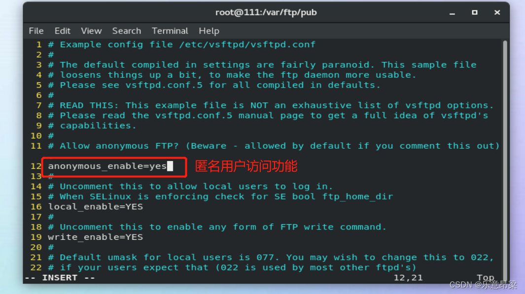 Linux中的vsftpd的部署及优化_linux 安装了ftp没有vs-CSDN博客
