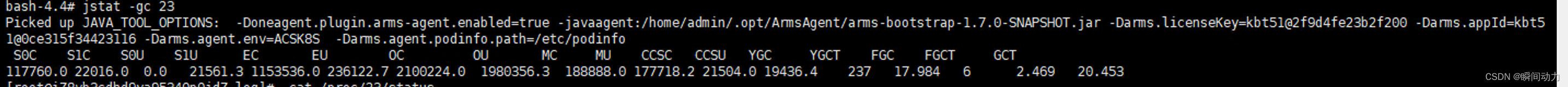 云环境对容器pod资源分析常用命令_查看pod占用内存-CSDN博客