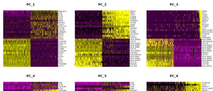 Seurat官网教程复现 以及相关问题解决-CSDN博客