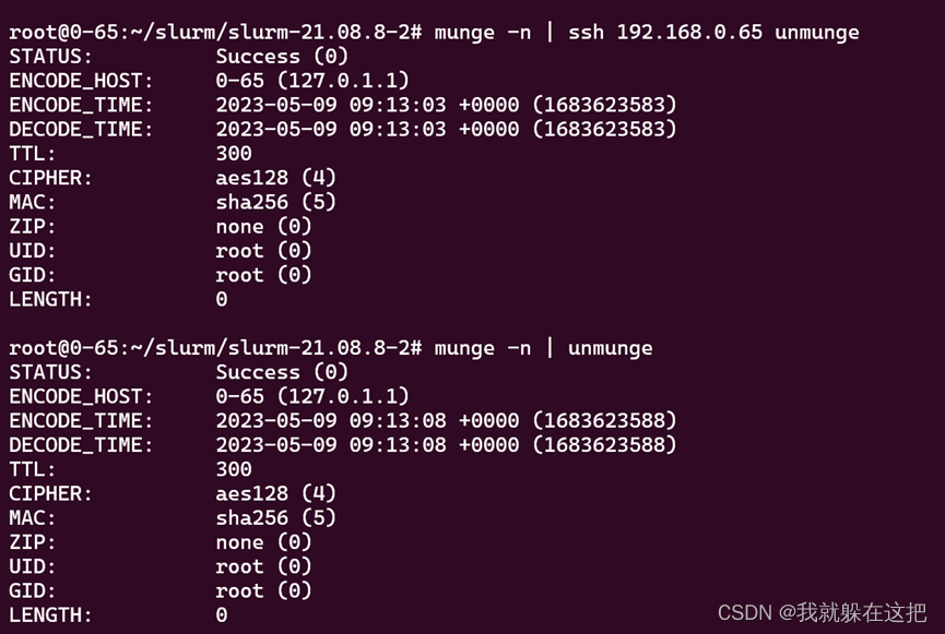 ubuntu 20.04.5 Slurm + pyxis + enroot 部署手册_slurm pyxis enroot-CSDN博客
