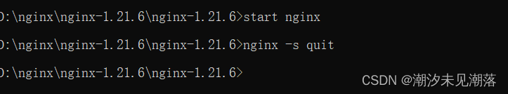nginx: [error] CreateFile() “D:\nginx-1.21.6/logs/nginx.pid“ failed (2: The system cannot find ...