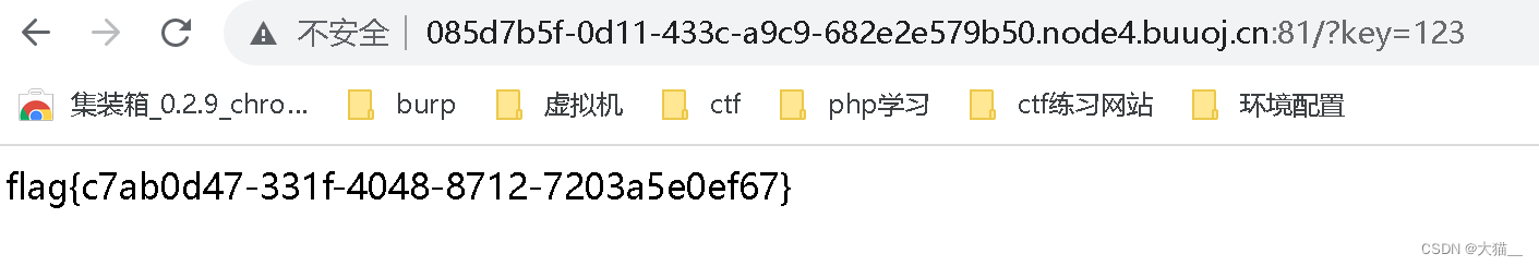 [ACTF2020 新生赛]BackupFile 1-CSDN博客