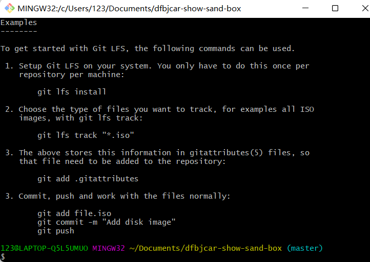 Git lfs 操作流程_sourcetree gitlfs-CSDN博客